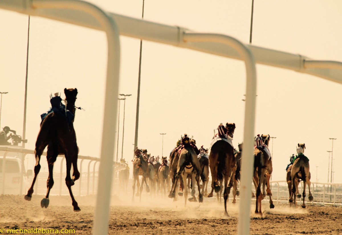 Weekly Photo Challenge – Corner | HX Report