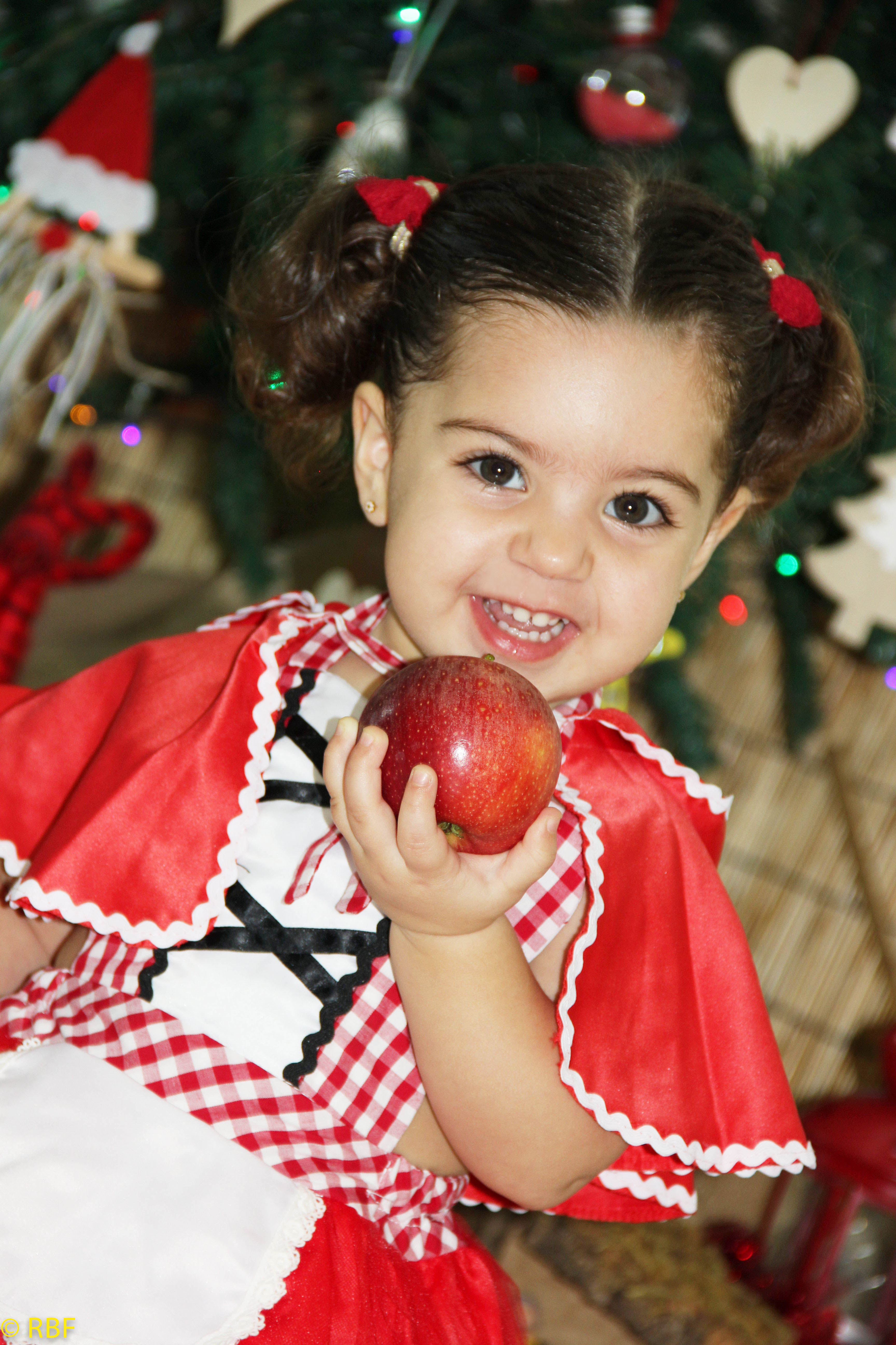 Sofia & The Feast of St Barbara | HX Report